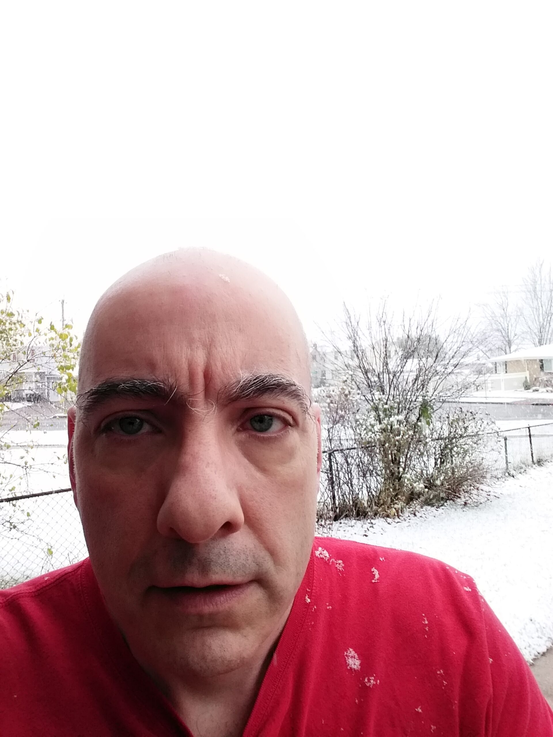 Bio - Ray Lee Burgess